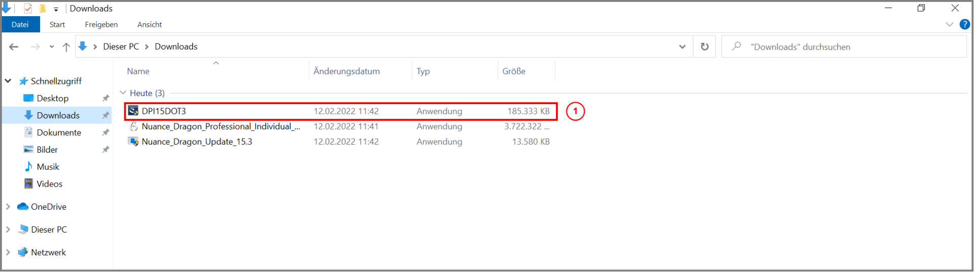 Nuance Dragon 15 Installation: Schritt-für-Schritt Anleitung